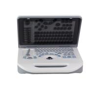 China ISO Veterinary Portable Ultrasound Scanner with 3.5MHz Probe, 256 Image Cine Loop & 120dB Dynamic Range for Animal Diagnostics for sale