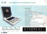 China OEM Veterinary Ultrasound Scanner with 12-inch Display and 3200mAh Battery - Color Doppler 3D Imaging for Animals for sale