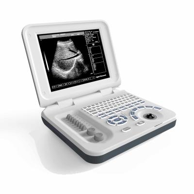 China Veterinary Ultrasound Machine with 10.4