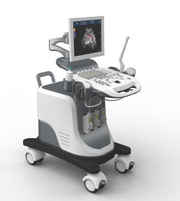 China XF7800 Plus Full Digital Trolley 4D Echo Ultrasound Machine with 15