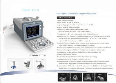 China XF218 CRT Portable Veterinary Ultrasound Scanner with 6.5MHz R13 Cavity Probe and 256 Gray Scale Imaging for sale