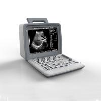 China XF300 Digital OB/GYN Ultrasound Scanner with 12-inch LED Display and 0-120dB Dynamic Range for sale