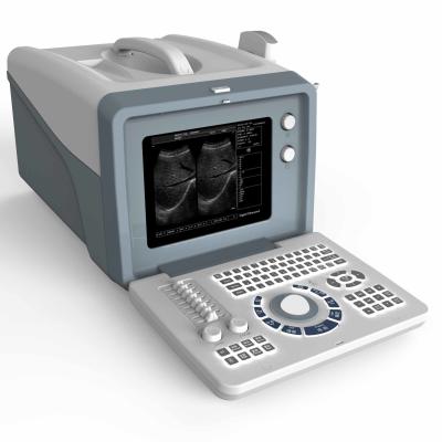 China FSC 3D 4D MSK Portable Ultrasound Scanner with 256 Image Storage & Dual Probe Connectivity - 3.5MHz to 7.5MHz Frequency Range for sale