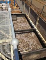 China 5.5t 66m3/h Poultry Farm MBBR Wastewater Treatment Plant ISO9001 for sale