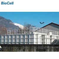 China Compact Mini STP Plant 12m x 2.4m x 2.9m MBBR Sewage Treatment 1-100 m3/day for sale