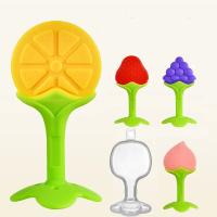 China Wholesale silicone baby teether fruit shape chews  gutta-percha with box three-dimensional teething gel for sale