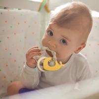 China BPA Free Baby Chewing Animal Shape Teething Toys Silicone And Wood Teether for sale