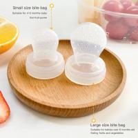 China BPA Free Silicone Infant Pacifier Feeding Food Fresh Baby Fruit Feeder Pacifier for sale