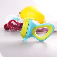 China Baby Fresh Fruit Feeder Teether Nutrition Feeder For Baby Food Feeder Fruit Pacifier Baby Fresh Fruit Pacifier for sale