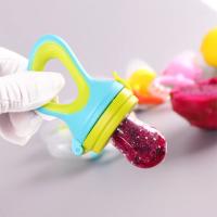 China Baby Fresh Fruit Feeder Teether Nutrition Feeder For Baby Food Feeder Fruit Pacifier Baby Fresh Fruit Pacifier for sale
