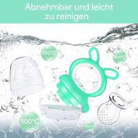China Feeding Supplies Fruit Vegetable Silicone Nipple Baby Feeder Pacifier for sale