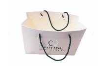 China Gift Clothes Packing Bag Branded Paper Shopping Bags With Rope for sale