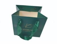 China Custom Branded Paper Gift Bags / Clothes Shopping Bags With Rope for sale