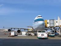 China Competitive Cargo Air Freight Delivery Services From Tianjin Freight Forwarder DHL UPS for sale