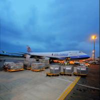 China Shanghai Air Freight Forwarder International Cargo CA EY SQ 16 Years Experience for sale