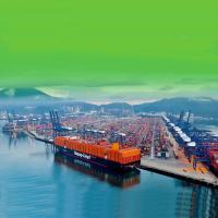 China 40ft Container Shipping from China to Qatar Discounted Sea Freight for General Cargo for sale