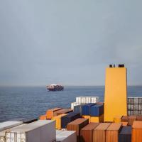 China China to Malaysia Ocean Freight Service FCL LCL for Oversized Cargo 16 Years Experience for sale