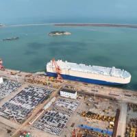 China China to Philippines RORO Shipping Service 16 Years Experience Freight Forwarder for sale