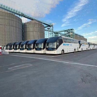 China RORO Ocean Freight Service from China to Australia Roll on Roll off Shipping Lines for sale