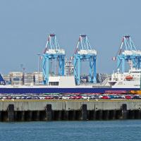 China China Freight Forwarder Sourcing Agent FCL LCL OOG Shipping 16 Years Experience for sale