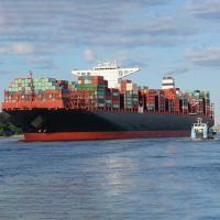 China FCL LCL Ocean Freight Shipping Agent China 16 Years Experience Competitive Rates for sale