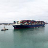 China Door to Door Global Logistics Service FCL LCL OOG BBK Shipping from China for sale