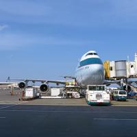 China Rich Experienced Freight Transportation Services From China To Indonesia for sale