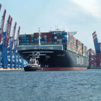 China Break Bulk Cargo Shipping Service from China to Indonesia Heavy Cargo 16 Years Experience for sale