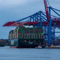 China China Break Bulk Shipping Services for Vehicle and Construction Machinery NVOCC 16 Years for sale