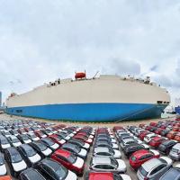 China China to Santiago RORO Bulk Cargo Shipping Service 16 Years Experience for sale