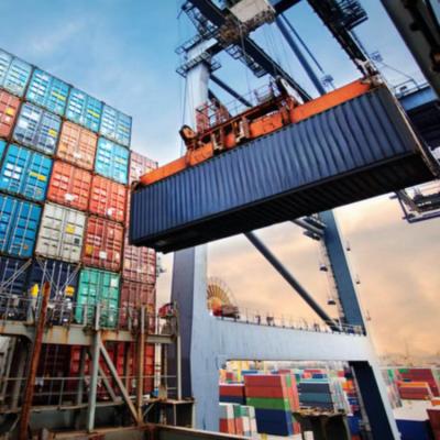 China China to Santiago RORO Bulk Cargo Shipping Service 16 Years Experience for sale
