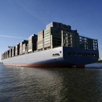 China China Sea Freight Forwarder FCL LCL OOG Shipping Agent 16 Years Experience for sale