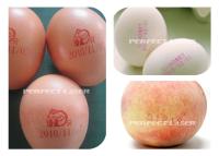 China Automatic or Manual Cleaning Industrial Expiry Date Carton Egg Ink Jet Printer With Pink/Red/Green/Purple Ink Color for sale