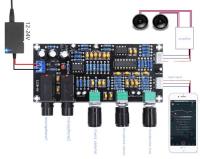 China PT2399 NE5532 Microphone Amplifier Board with DC12-24V Working Voltage for Stereo Audio Amplification for sale