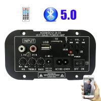 China Bluetooth 5.0 FM Radio Power Amplifier Board with 100W Power for Home and Car Audio for sale