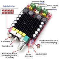 China Dual Channel 100W Output Audio Amplifier Board with DC14-34V Input and Class D Technology for sale