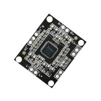 China CA-8610 Digital Power Amplifier Board 2*15W Dual Channel Stereo Mini Class D PAM8610 for sale