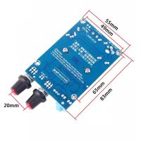 China CA-3316A Digital Power Amplifier Board 100W Class D BASS AMP with TPA3116 Chip 12-24V for sale