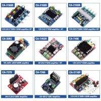 China CA-2092 500W Class D Mono Channel Digital Amplifier Board High Power Amplifier Module for sale