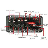 China 24V/220V Car Amplifier Mono Audio Amplifier with 120W Power Dual Microphone and Bluetooth for Subwoofer and Karaoke for sale