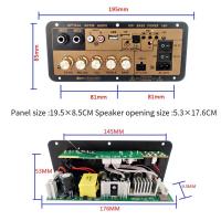 China 100W BT Mono Amplifier Board with 2.0 Channels for Home and Car Audio for sale