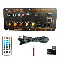 China 100-300W Car Audio Amplifier Board with Bluetooth 5.0 and Dual Mic Input for Karaoke and Subwoofer for sale