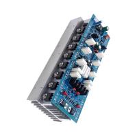 China 1000W Audiophile Mono Channel Amplifier Board for Professional Audio Power Amplification for sale