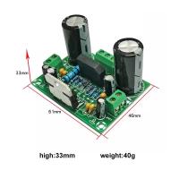 China 100W Mono Amplifier Board with Dual AC12-32V Power Supply for 2 Channels for sale