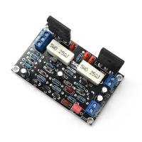 China 100W Rated Output Power Mono Channel HIFI Audio Amplifier Board with Dual DC 10-45V and Low Noise Zero Drift for sale