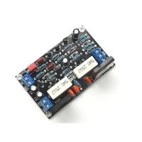 China 100W Rated Output Power Mono Channel HIFI Audio Amplifier Board with Dual DC 10-45V and Low Noise Zero Drift for sale