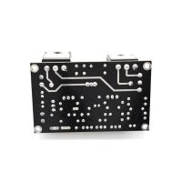 China 100W Rated Output Power Mono Channel HIFI Audio Amplifier Board with Dual DC 10-45V and Low Noise Zero Drift for sale