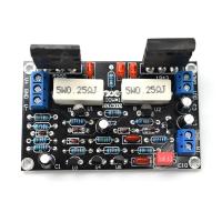 China 100W Rated Output Power Mono Channel HIFI Audio Amplifier Board with Dual DC 10-45V and Low Noise Zero Drift for sale