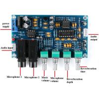 China 12V Dual AC12V PT2399 Digital Microphone Amplifier Board Karaoke Reverberation Module for sale