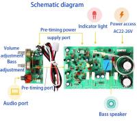 China 250W High Power Subwoofer Amplifier Board with Dual AC22-26V and FET Chip Type for DIY Speaker Projects for sale